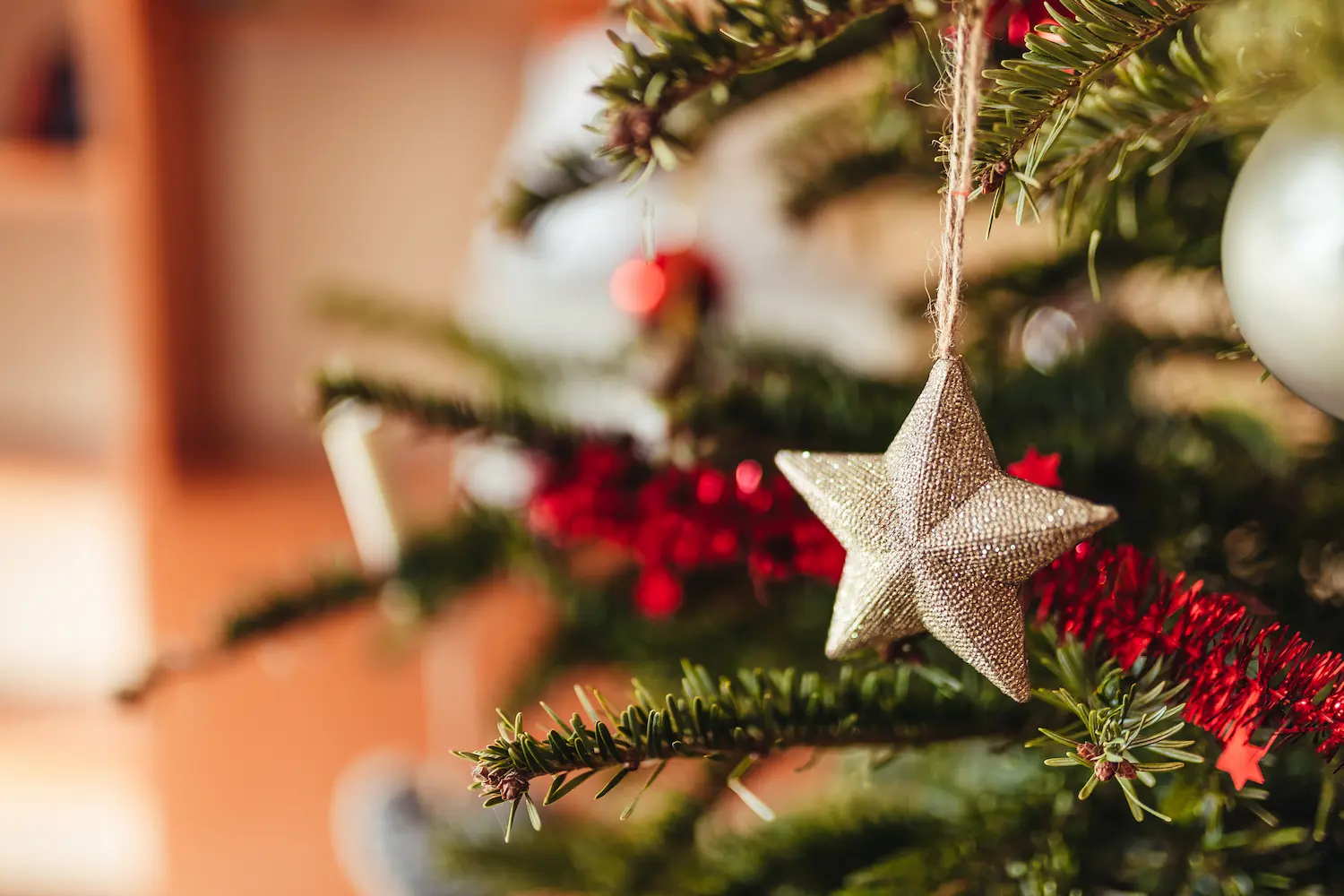 Casa rural para Navidad cerca de Toledo - El jardín de los niños